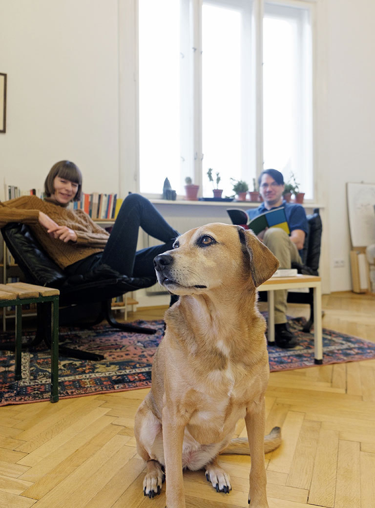 In the Studio | Collectors Agenda